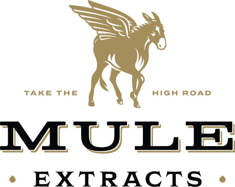 CBD Gummies – Mule Extracts